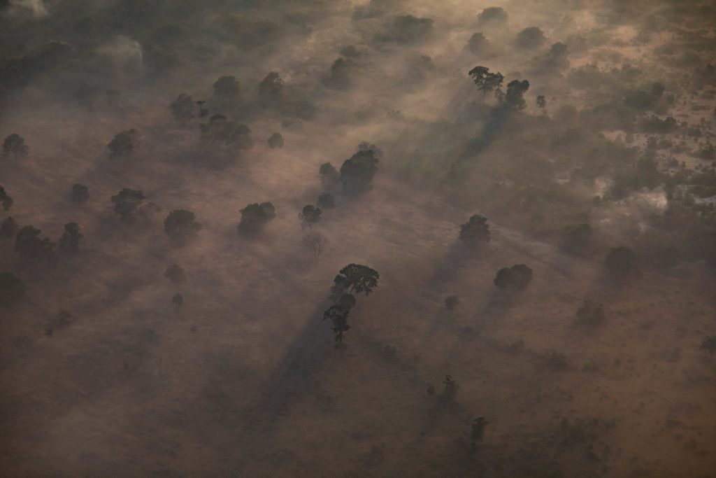 ‘The Amazon Is Completely Lawless’: The Rainforest After Bolsonaro’s ...
