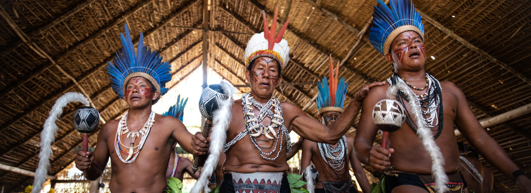 Pouca terra para muito índio: estudo detecta alta densidade ...